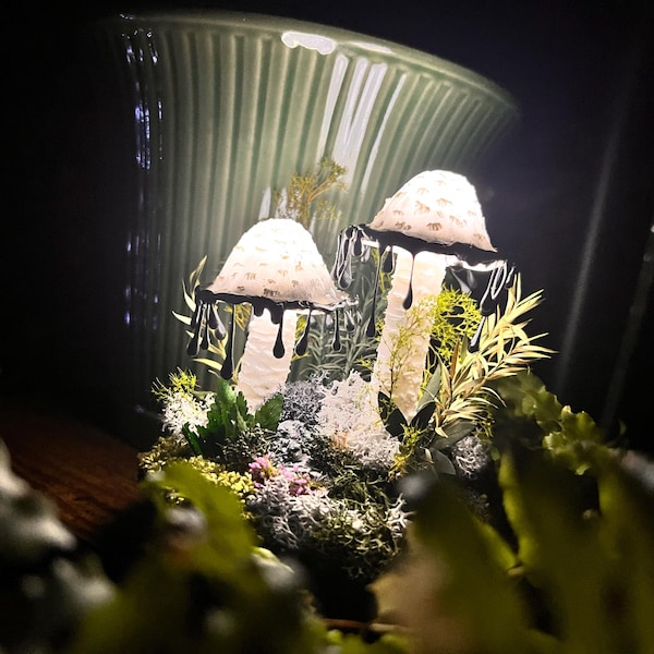 Mushroom, Mushroom Lamp, Mushroom Light, Glowing Fungi, Glowing ...