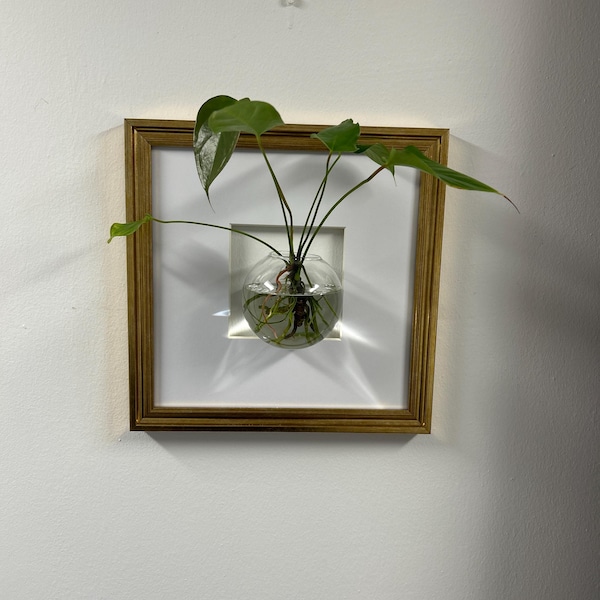 Hanging Glass Wall Planter Propagation Terrarium Vase Quick Hook - Etsy