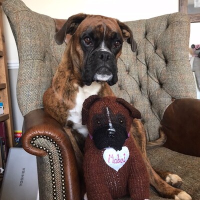 Boxer Dogs, Boxer Dog Gifts, Boxers Lovers Gifts, Gifts for Boxer Dog ...