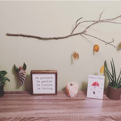 Anatomy of a Mushroom Mini-poster and Student Assessment Nature Study ...
