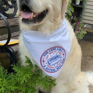 Ball-less & Flawless Dog Bandana, Funny Dog Bandana, Neuter Bandana ...