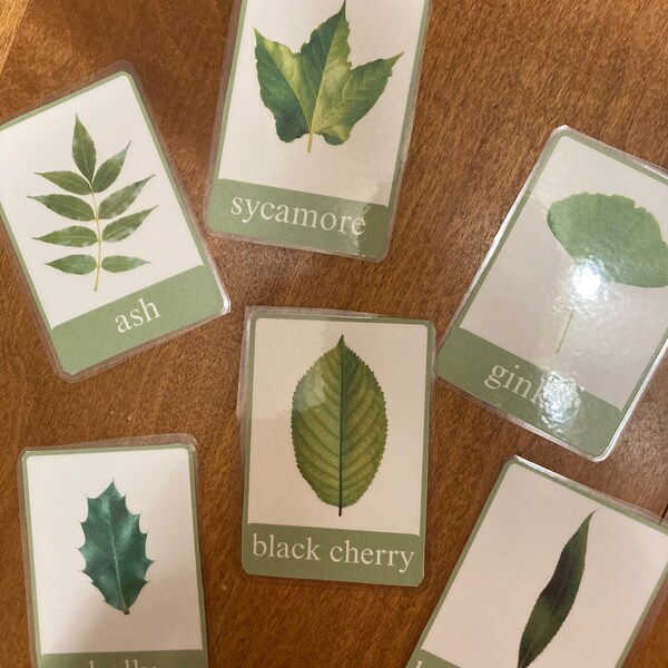 Nature Walk Scavenger Hunts, Printable Montessori Materials, Outdoor ...