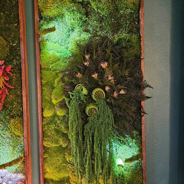 Lovely Green Wall Art Preserved Moss Artwork With LED Lights Moss LED ...