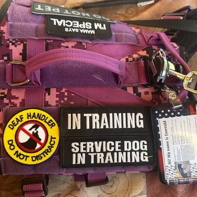 Pink Glitter Cowgirl Hat Patch Stars Western Embroidered Iron on CE5 - Etsy