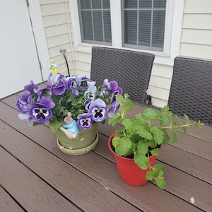 Peter Rabbit Pot Buddy Beatrix Potter Peter Rabbit Pot Hanger Gift ...