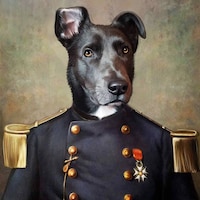 Dog Portrait Female. Your Pet as Queen Princess or Lady - Etsy