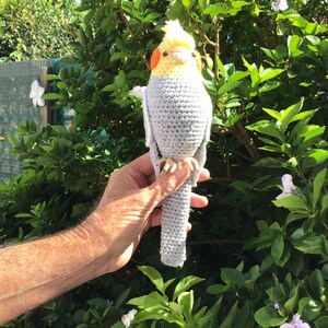 Crochet parrot DIY pattern Easy Tutorial PDF Amigurumi | Etsy