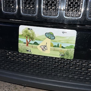 Cool Punk Checkered Skull License Plate Unique Car Accessories for Him ...