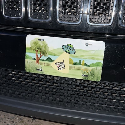 Cool Punk Checkered Skull License Plate Unique Car Accessories for Him ...