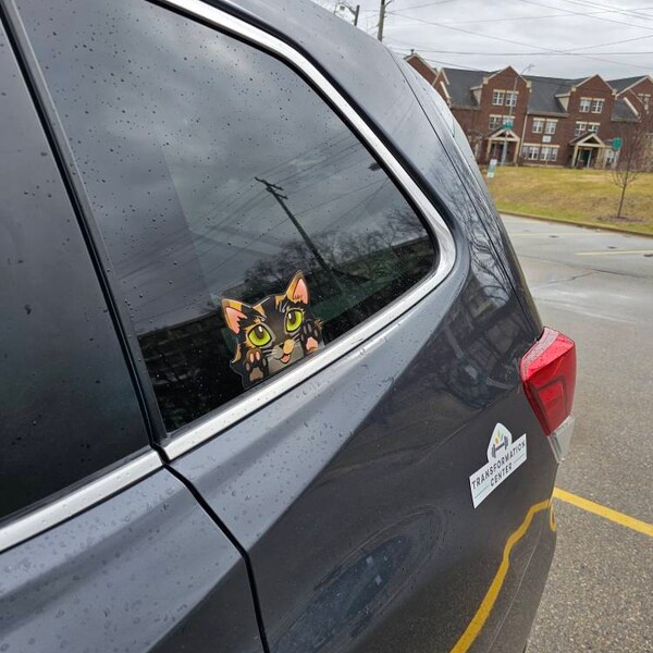 Cat-cute-matte Sticker - Trap Neuter Return - TNR Support - Snip 'em ...