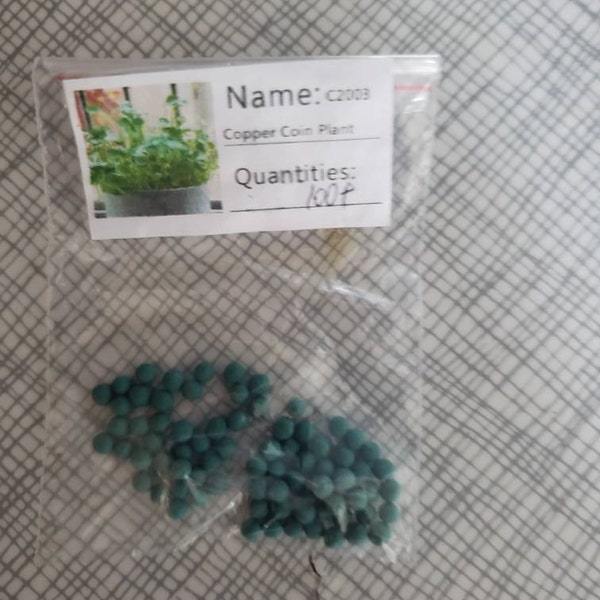 50 Money Plant Copper Coin Plant Lucky Plant Seeds CW92003 - Etsy