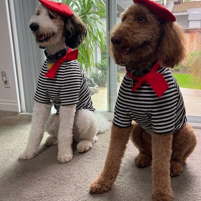 French Look Outfit Set Pet Beret Hat, Red Scarf, Black White Striped T ...