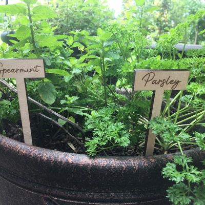 Set of Plant Markers Potted Plant Sign Herb Marker Plant Stake Wood ...