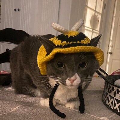 Crochet Blueberry Pet Cat Bucket Hat - Etsy