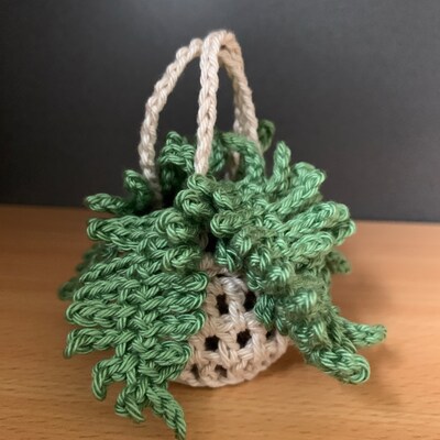 Car Fern Crochet PATTERN by Pamelambie Car Plant - Etsy