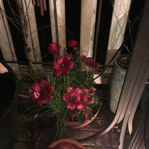 Candy Colors Butterfly Metal Garden Stake, Outdoor and Garden Art Decor ...