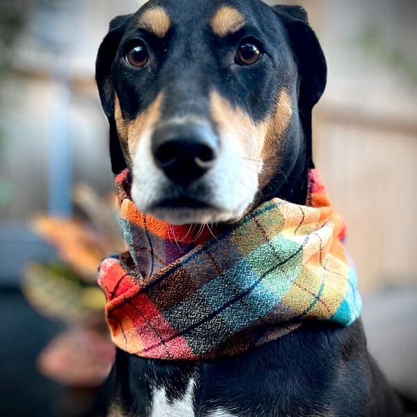 Dog Infinity Scarf in Ombre Plaid, Makes Great Stylish Dog Mom Gift ...