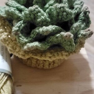 Crochet Succulent Coaster Pattern - Etsy