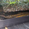 Underground Aquarium Tunnel Fish Hide for Shrimp and Fish - Etsy