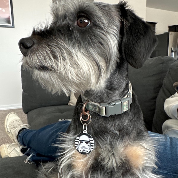 Good Vibes Dog ID Tag Pet ID Tags Custom Pet Tag Unique Pet Tags Funny ...