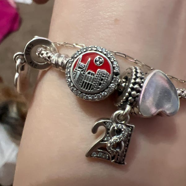 Pandora Charm Pandora Florida Cruises Exclusive Charm Charms for ...