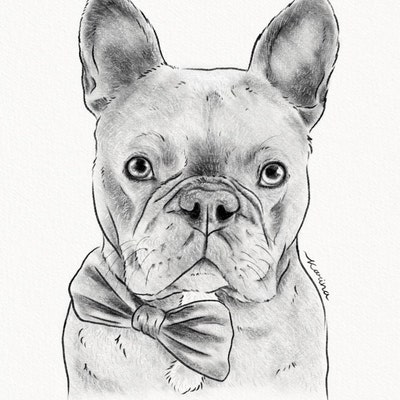 Procreate 3D Object Leg Models Tattoo Brush Male and Female Ink Hand ...