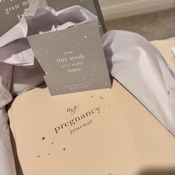 My Pregnancy Journal, Expectant Mother Gift, Pregnancy Planner - Pearl ...