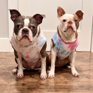 Banjo Dog Collar Harness or Leash With Personalized Engraved - Etsy