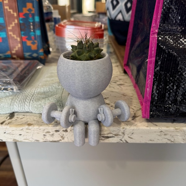 Wee Jimmy Dino Rider Dinosaur Brachiosaurus Diplodocus Succulent Plant ...