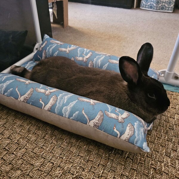 Discounted MYSTERY Classic Hop N' Flop® | Snuggle Burrow Flop Bed for ...