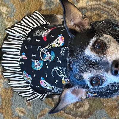 Dog Show Training Stack Box Toy Adult Size Stack Training 20 X 12 ...