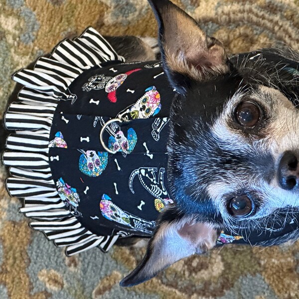 Vintage-inspired wednesday Pet Dress Perfect for Halloween - Etsy
