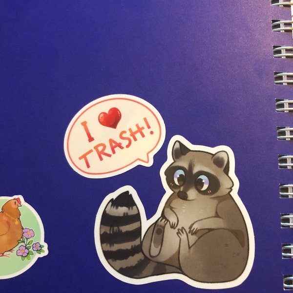 Cute Raccoons Sticker Set - Etsy