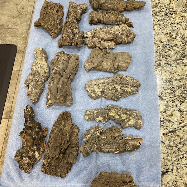 Bulk Cork Bark Flats - Terrarium Vivarium Orchid Air Plant Mount ...