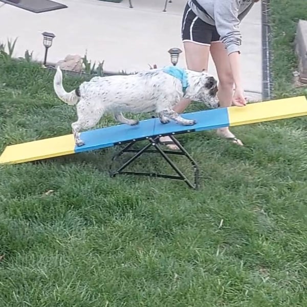 Better Sporting Dogs Agility A-frame | Dog Agility Equipment | Dog ...