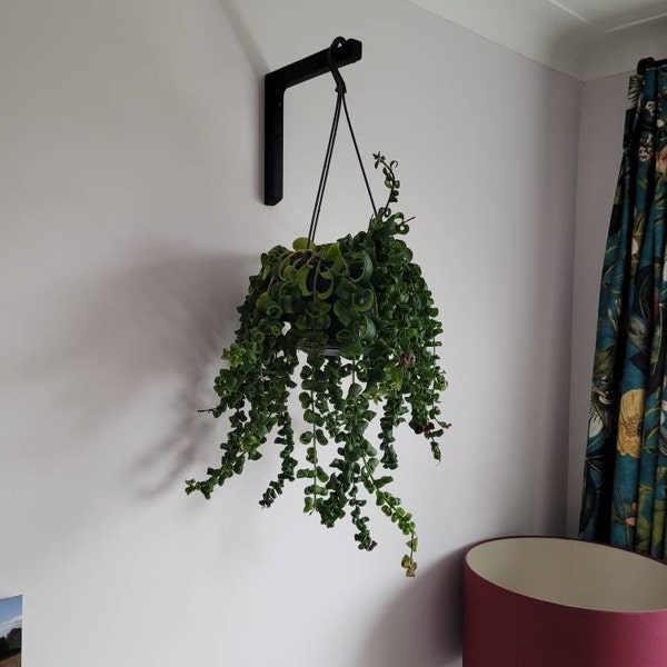 Indoor Plant Hook, Wall Mounted Wooden Plant Hanger STEM Plant Bracket ...