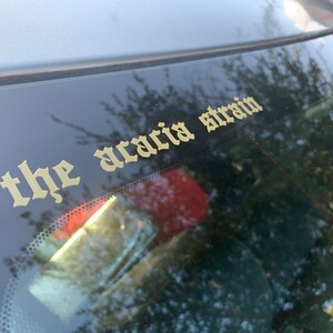 Fan Made Pathology Decal - Etsy