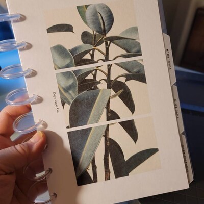 Eyes Open, Mind Open, Heart Open Journaling Card Set Set of 4 printed ...