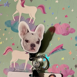 Baby Introduction Stickers Hello My Name Is...stickers - Etsy