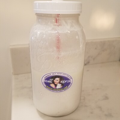 Kefir Fermenter: Container With Kefir Grains 20 G - Etsy