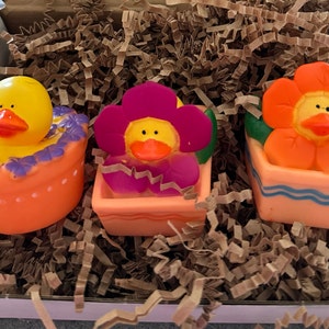 Bright Mini Neon Themed Rubber Duck Ducks Green Orange Pink Individuals ...
