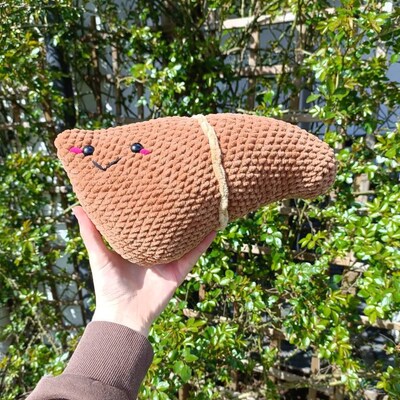 11 Crochet Organs Patterns EBOOK PDF Amigurumi Heart Liver Kidney Brain ...