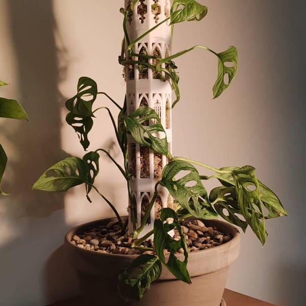 3D Printed Stackable Plant Support: Gothic Decagon Moss Pole Tower 70 ...