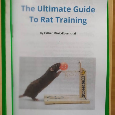 The Ultimate Guide to Rat Training Rat Training 101 DIGITAL COPY - Etsy