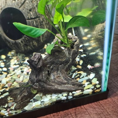 4 Fish Tank Decal Stickers Aquarium Gifts Laptop Hobby Vinyl - Etsy