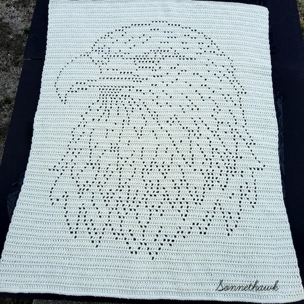 Dinosaur Filet Crochet Baby Blanket PDF Pattern - Etsy