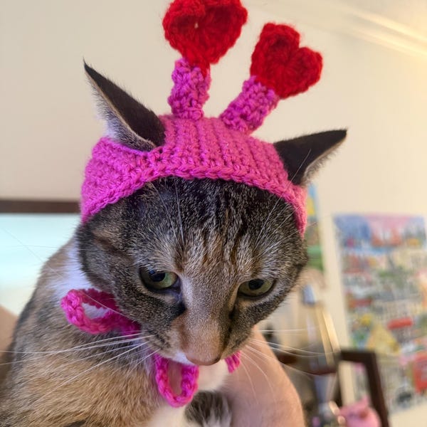 Devil Horns Cat Hat, Devil Costume for Cats, Devil Horns for Pets - Etsy