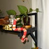 Set of 3 Snakes, Bookcase Snake, Planter Snake, Table Top Snake 3 ...