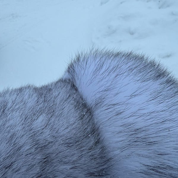 Huge Double Face Luxury Silver Fox Fur Boa,118inch (300cm)natural Color ...