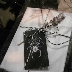 Blackened Vertebrae Spine Chain Necklace in Black Matte - Etsy